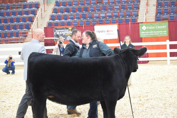 Shorthorn Plus Takes Youth Supreme at KILE | Farm Shows, County Fairs ...