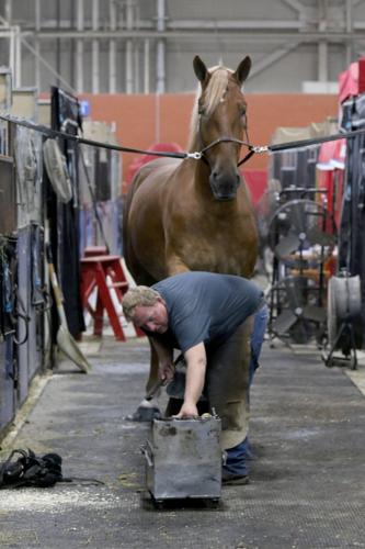 Scenes From the 2023 Keystone International Livestock Exposition ...