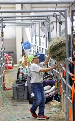 Scenes From the 2023 Keystone International Livestock Exposition ...