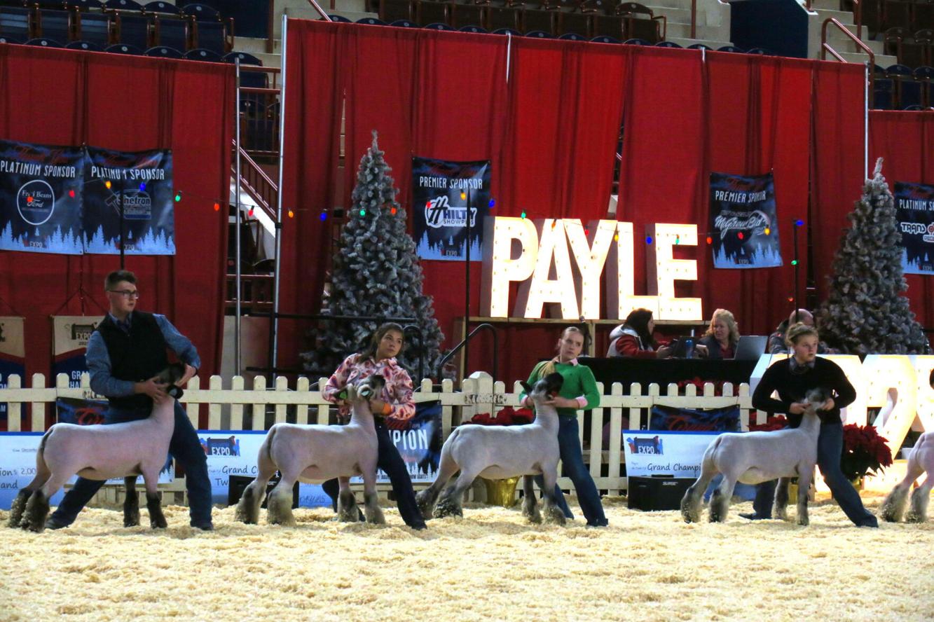 Exhibitors Show Their Connection to Animals at Pennsylvania Youth ...