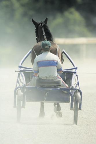 Breeding Championship Racing Standardbreds for 30 Years at Winbak Farm ...