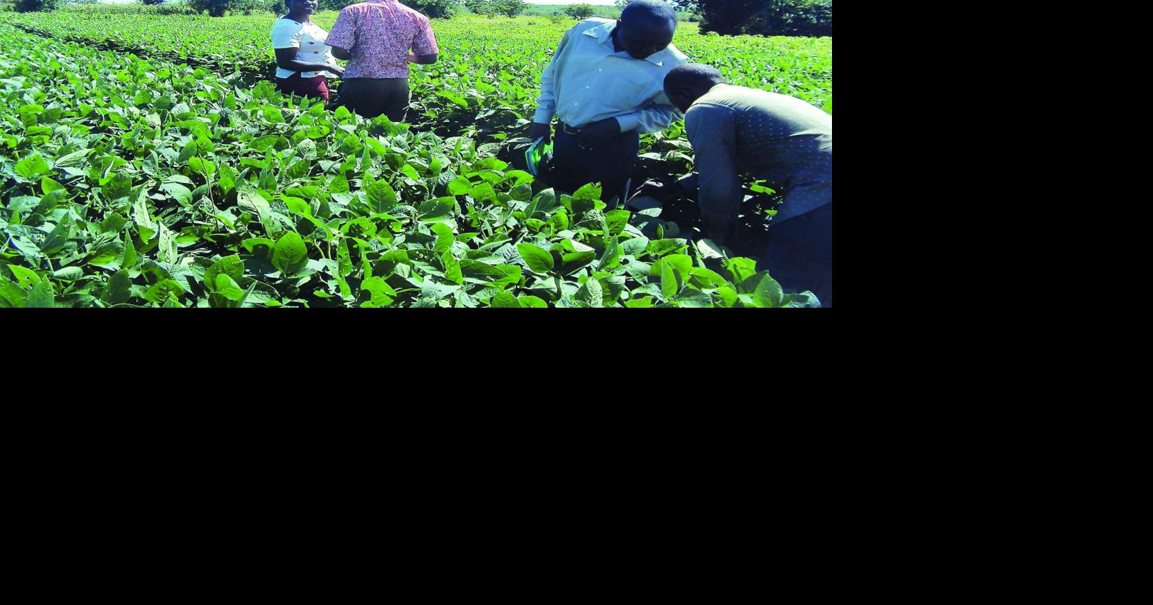 African Agronomy | Farming and Agricultural News | lancasterfarming.com