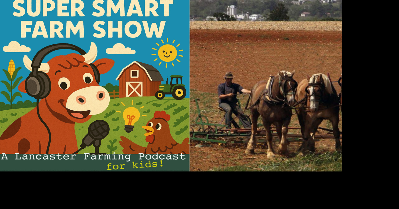 What Did Farmers Use Before Tractors? | Super Smart Farm Show ...