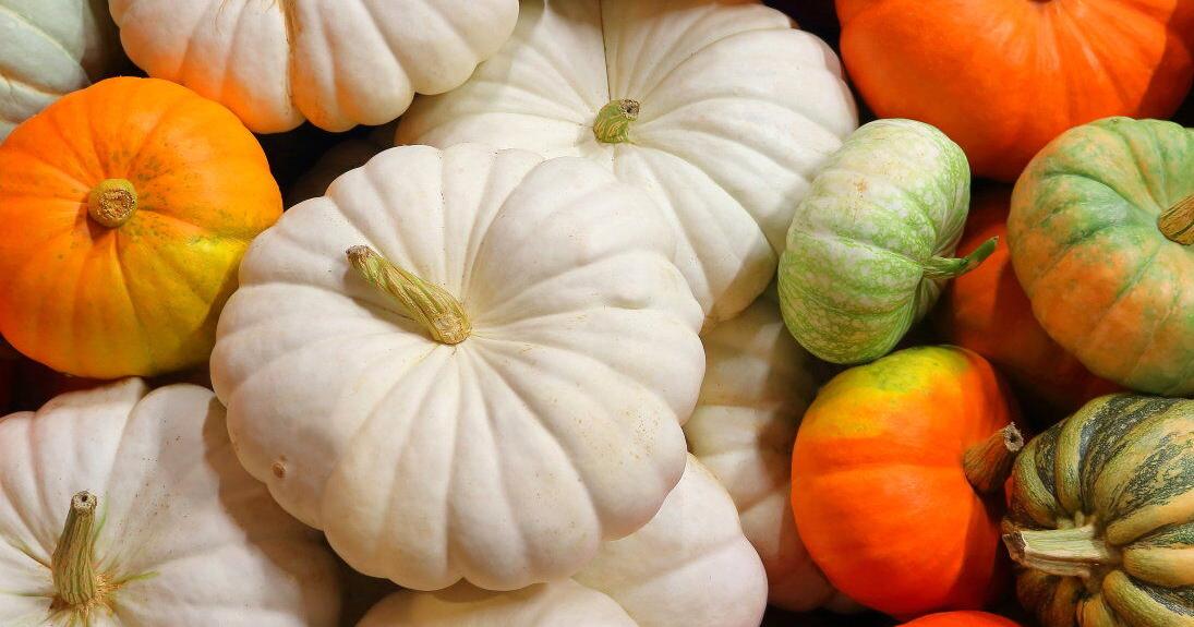 Is Pumpkin Spice Naughty or Nice? [Opinion] | Seasonal Food and Country ...