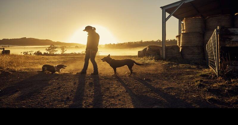 10 Women You Meet in Farm Country: Which One Are You? | Farm and Rural ...