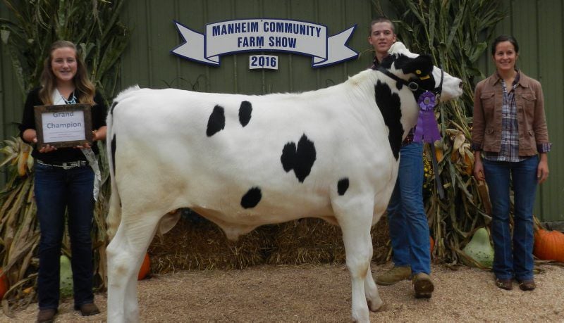 Manheim Farm Show Livestock Sale Raises Over $235,000 | Farm Shows ...