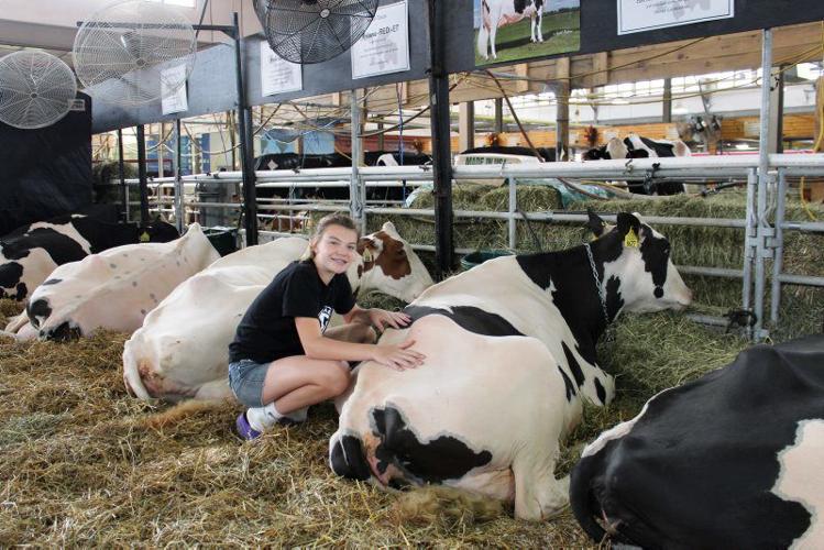 Kings-Ransom Hauls Home New York State Fair Ribbons ...