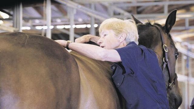 Award-Winning Documentary Gets to the Heart of How We See Lameness in Horses | Horse News and ...