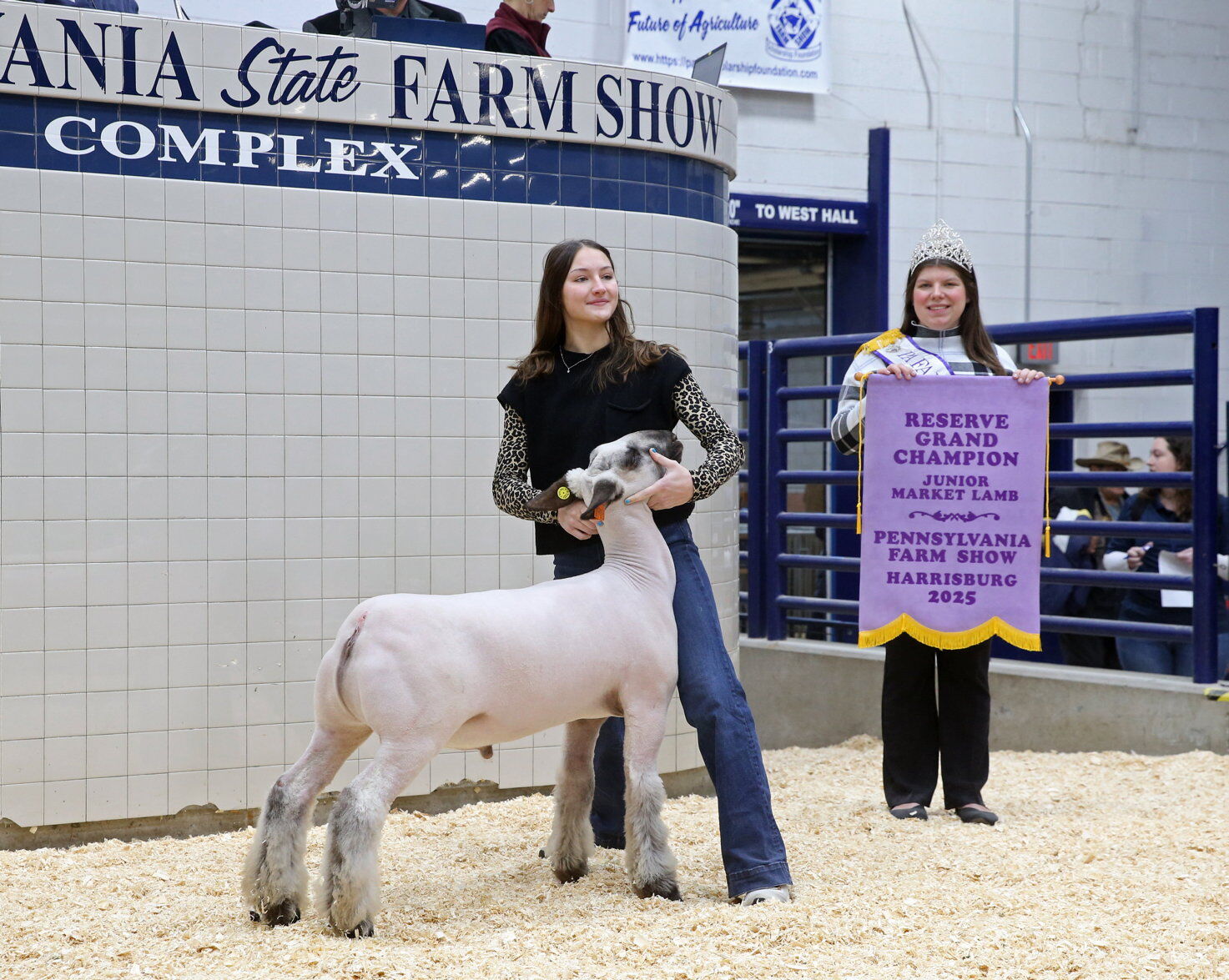 First Time Winners Enjoy the 2025 PA Farm Show Sale of Champions | Farm ...