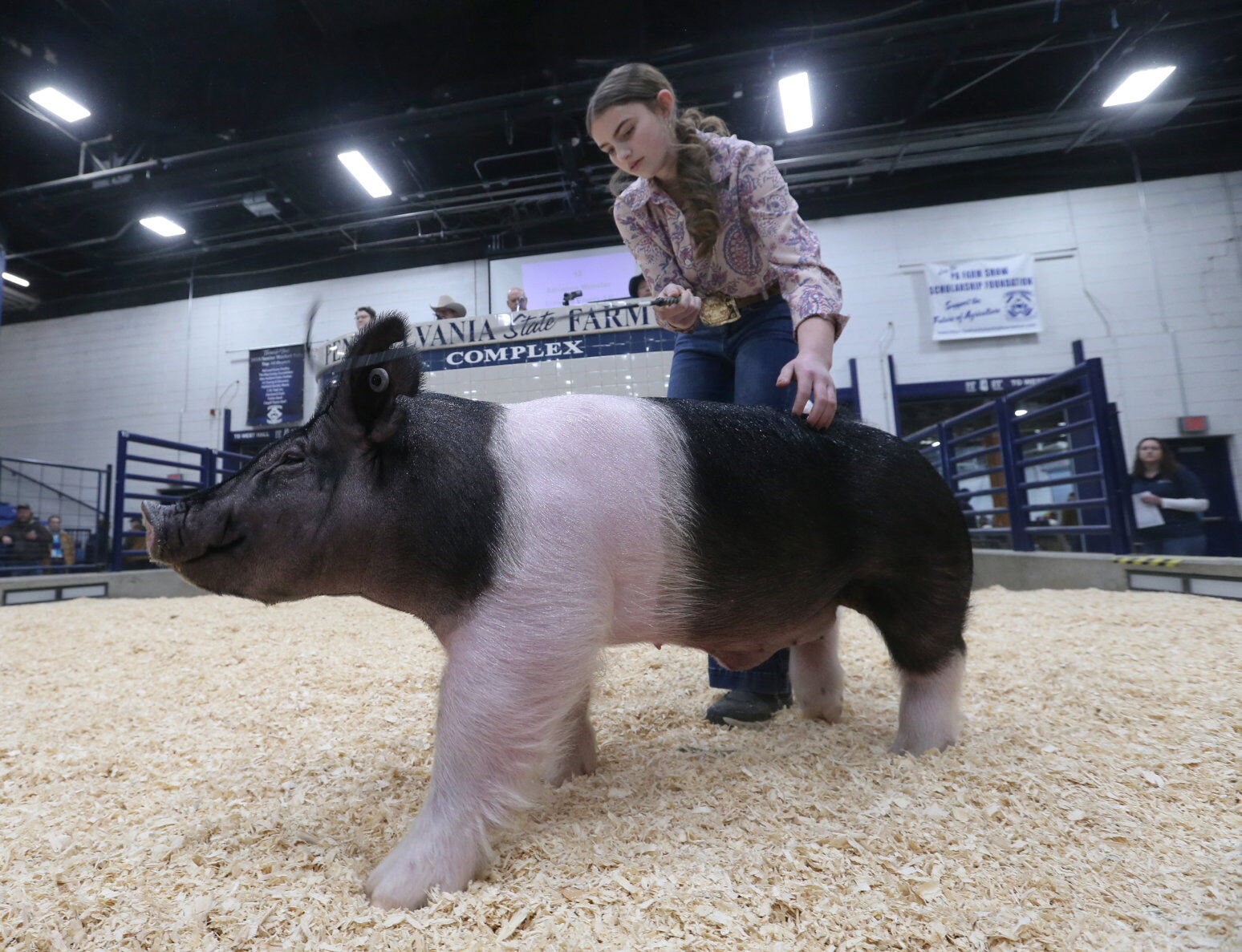 First Time Winners Enjoy the 2025 PA Farm Show Sale of Champions | Farm ...