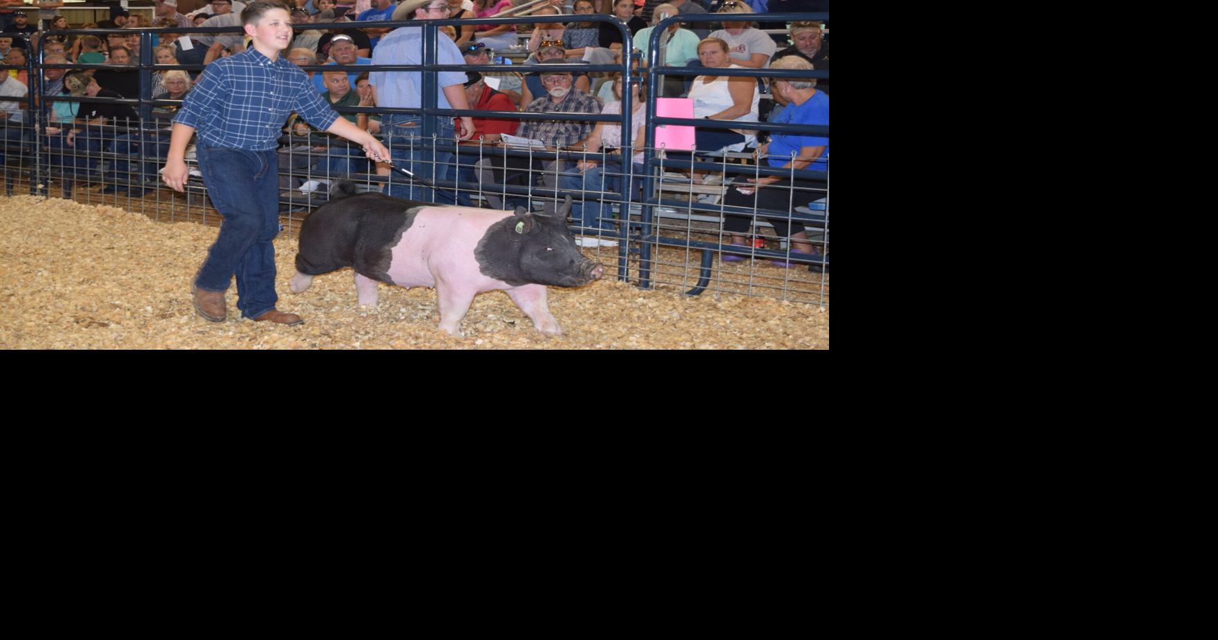 Pennsylvania Fairs Have $1 Billion Economic Impact | Farm Shows, County ...