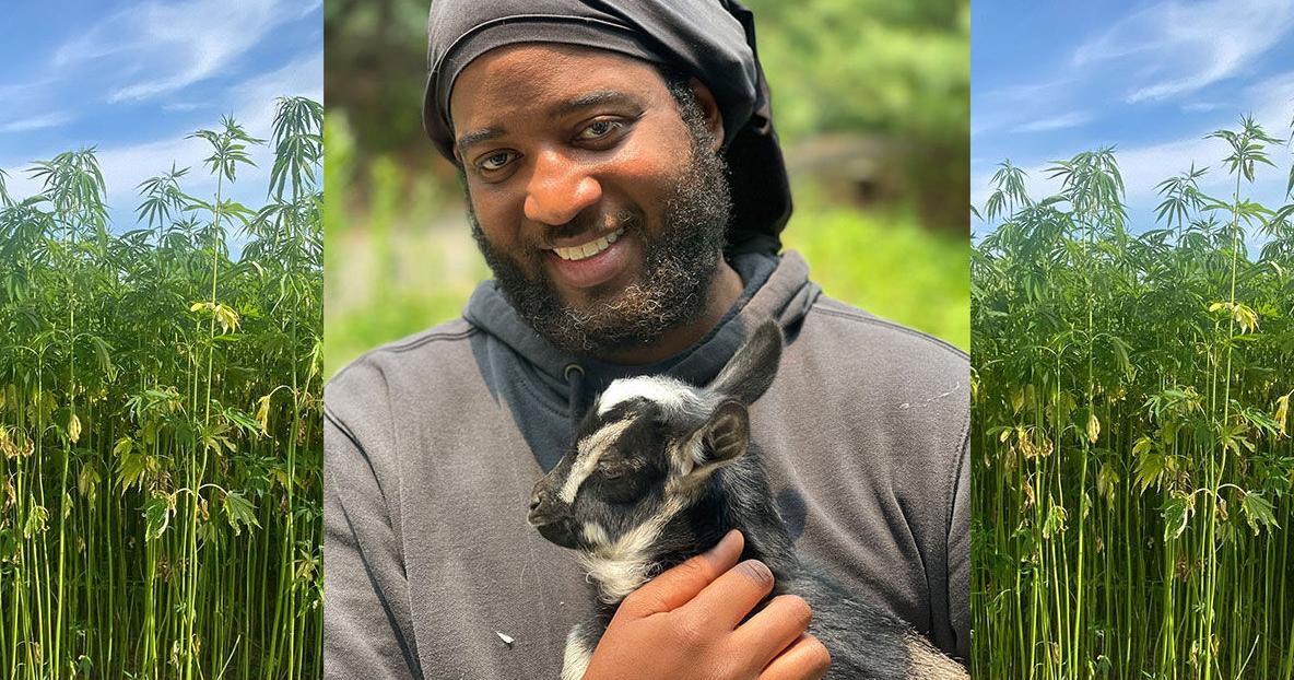 Connecticut’s First Fiber Hemp | Hemp Industry News | lancasterfarming.com