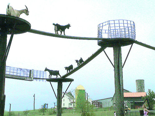 Agritainment Not As Easy As It Looks | | lancasterfarming.com