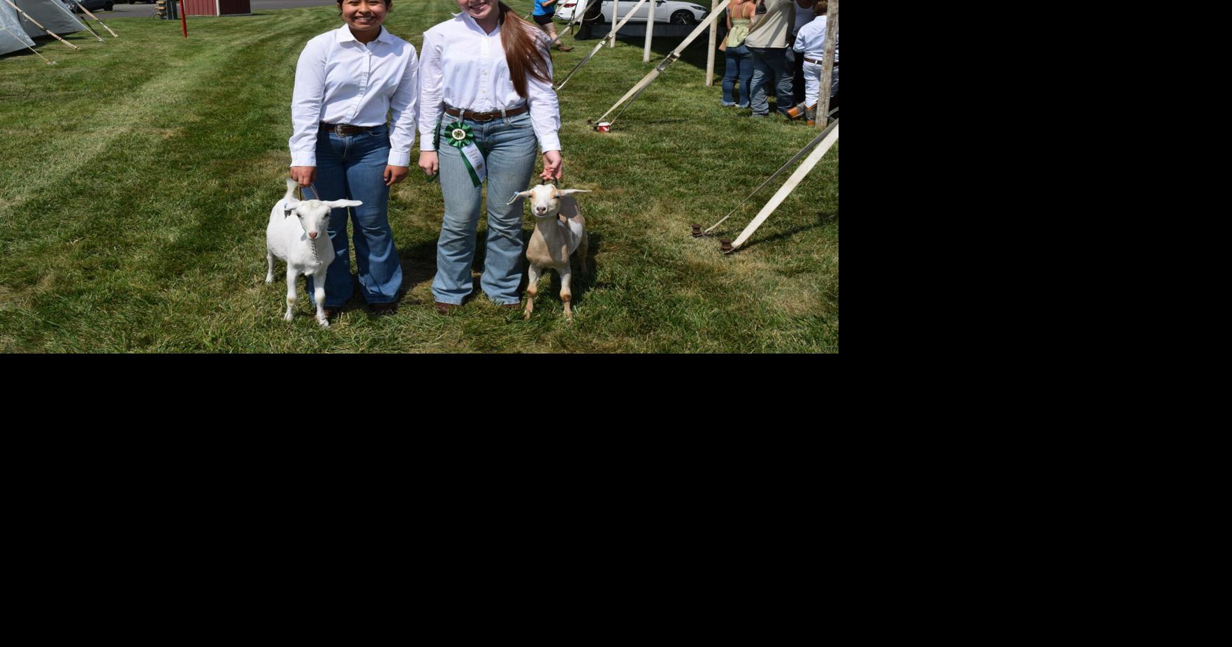 Goat Show Provides Learning Opportunities at Burlington County Farm ...