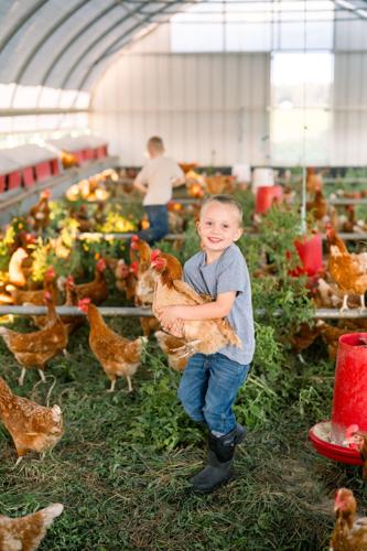 Sickler’s Circle View Farm Forges Own Path With Beef Herd | Livestock ...
