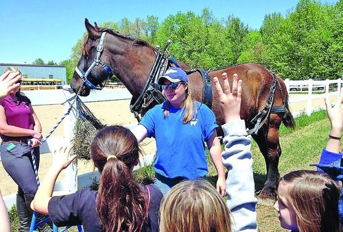 Farming Field Trip Provides Enjoyable Day Out of the Classroom ...