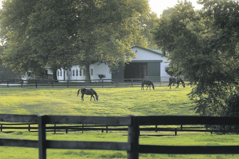 Breeding Championship Racing Standardbreds for 30 Years at Winbak Farm ...