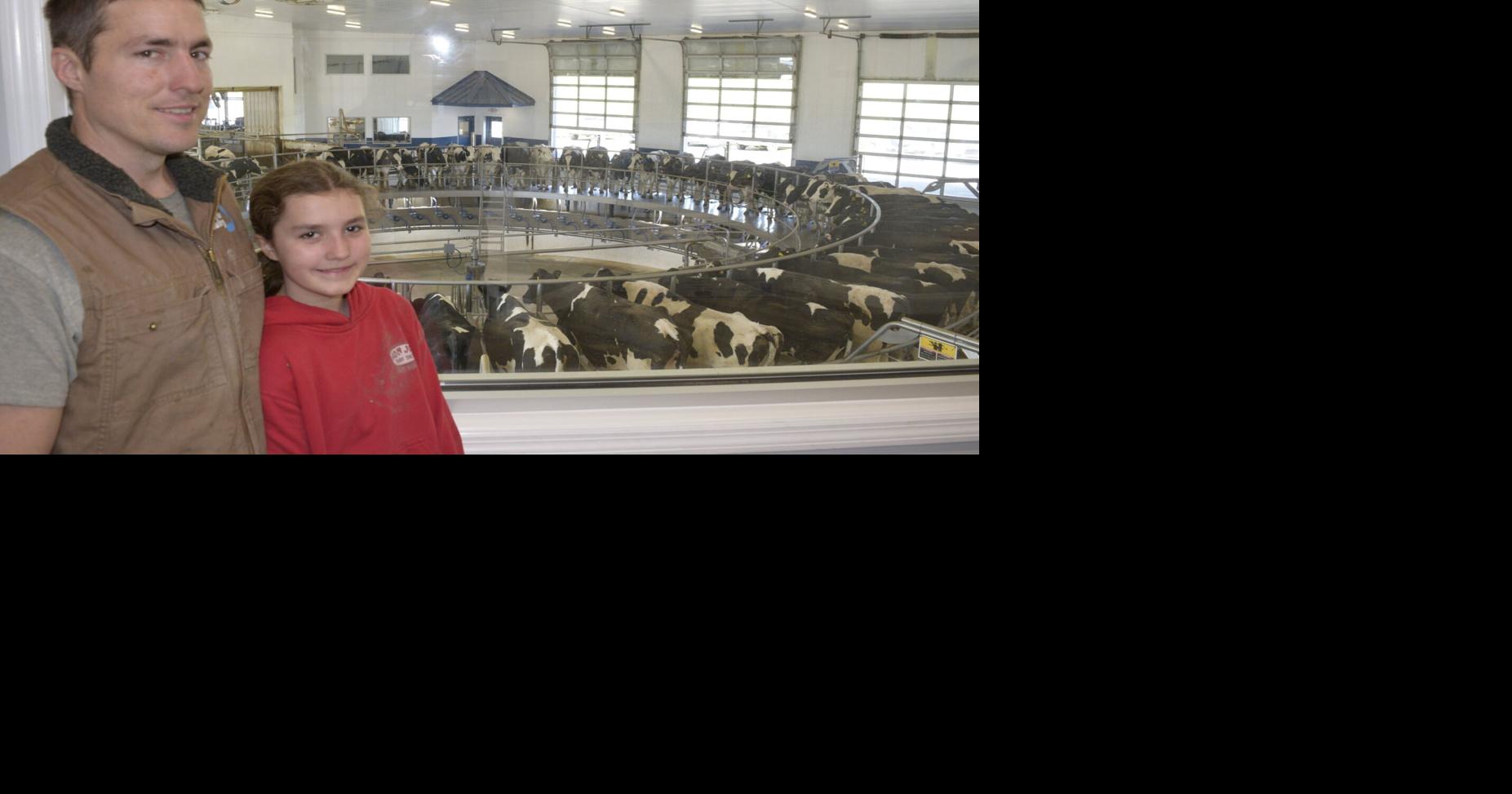 Precision Feeding Developments Show Promise for Dairies | Dairy News ...