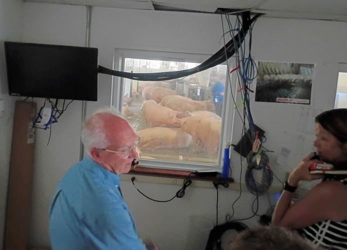 New Pennsylvania Lab to Use AI to Analyze Animal Behavior | Livestock ...