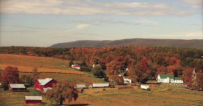 Torch Tree's Blazing Colors Signal Fall's Arrival | Farm and Rural ...