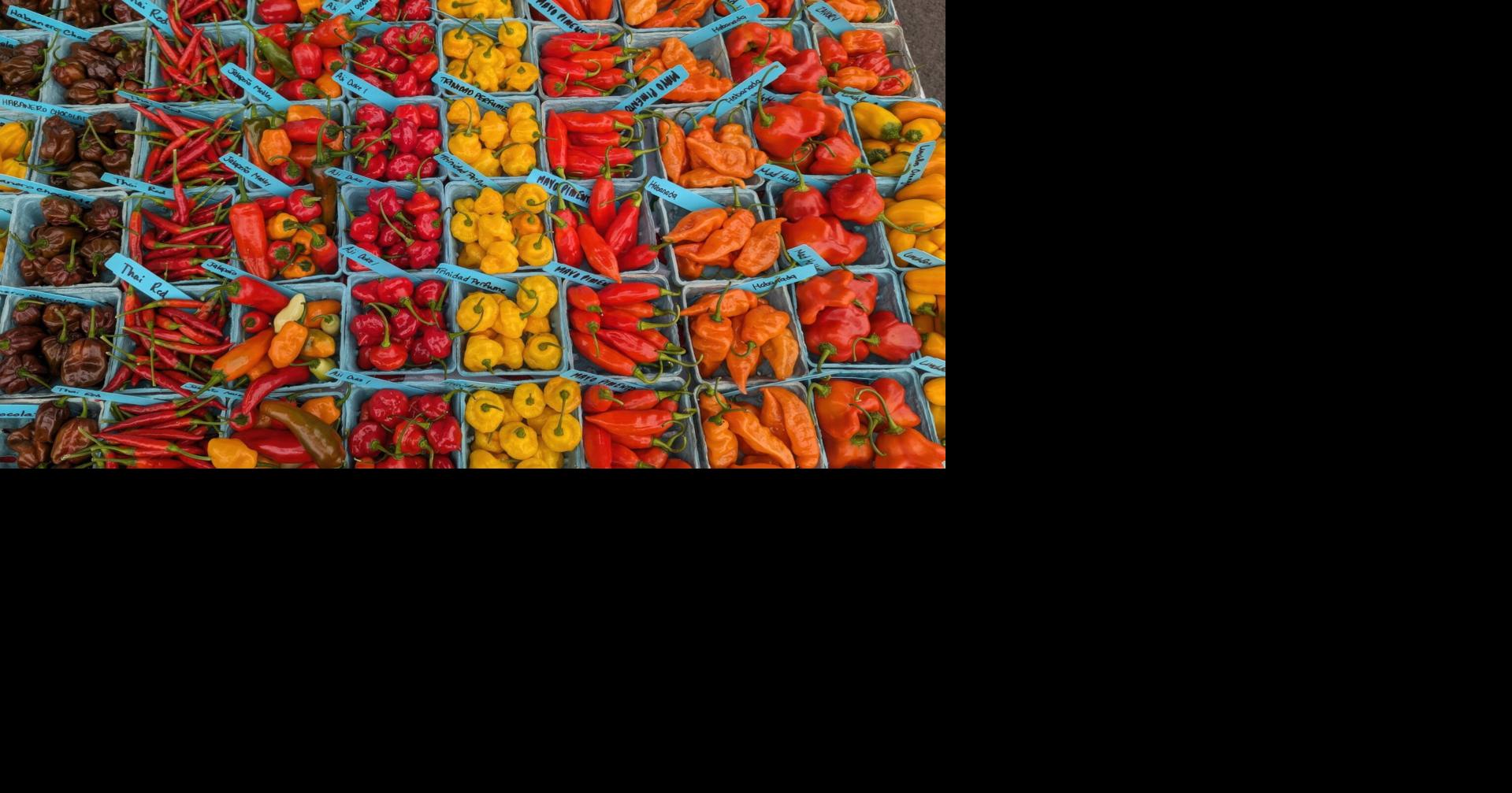 New Jersey-Based Pepper Growing Powerhouse Finds Nationwide Success ...