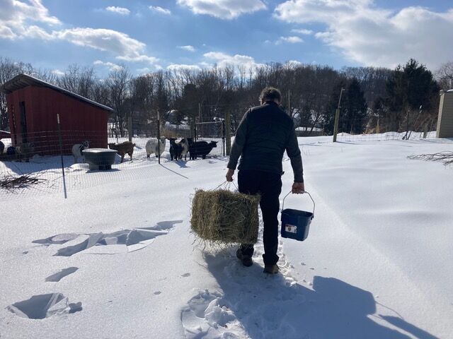 Cold Weather Causes Challenges for Mid-Atlantic Farms | Farming and ...
