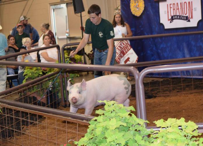 Livestock in Lebanon Is a Family Affair | Farm Shows, County Fairs ...