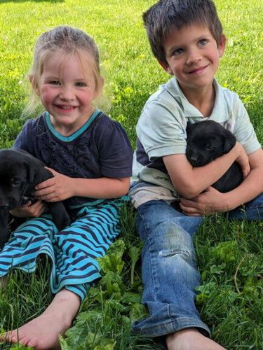 June Dairy Month Recipes, June 8, 2024 | Seasonal Food and Country ...