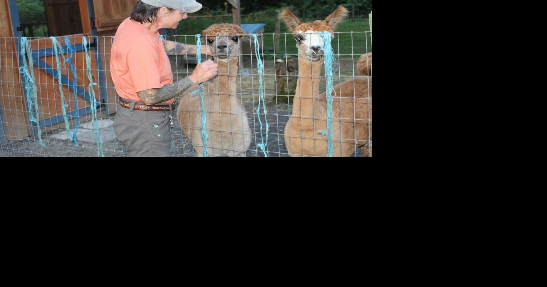 13-Acre Farm Offers City Dwellers a Rare Close Encounter with Animals ...