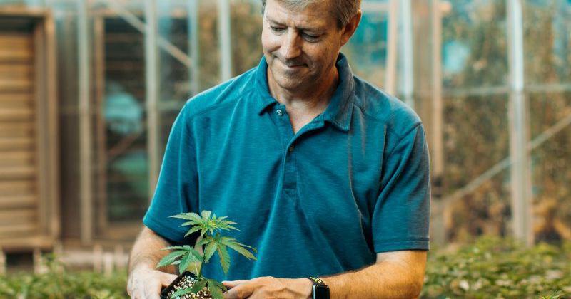 The Genetics of Hemp with Cornell University's Larry Smart | Podcasts ...