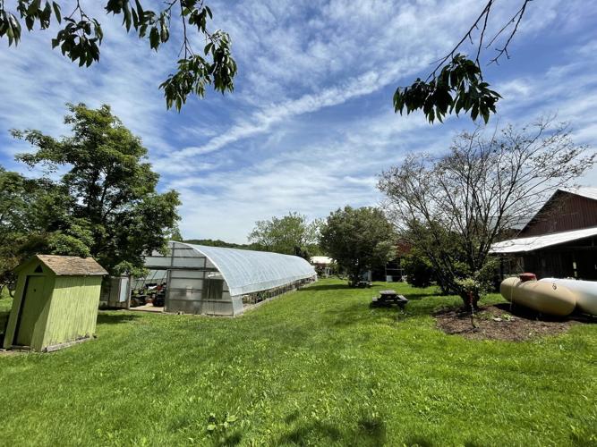 Poet Captures Magic of Farming and Rural Life in Expressive Poems ...