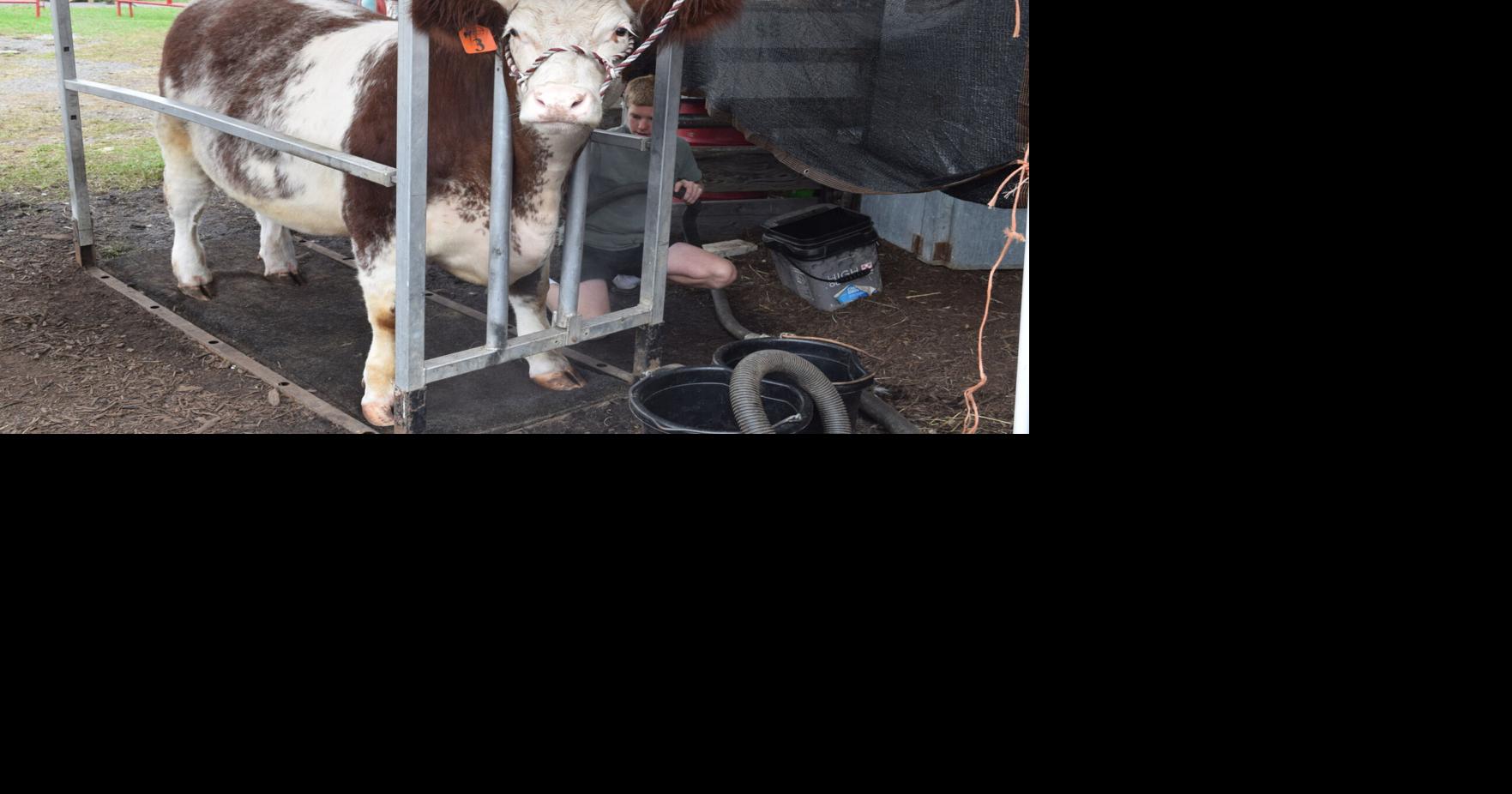 Centre County Grange Fair Rooted in Tradition for 150 Years | Farm ...