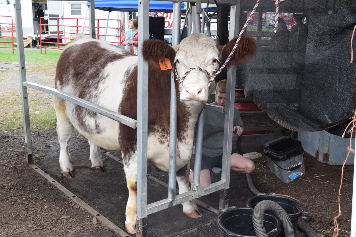 Centre County Grange Fair Rooted in Tradition for 150 Years | Farm ...