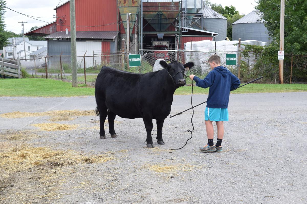 Centre County Grange Fair Rooted in Tradition for 150 Years | Farm ...