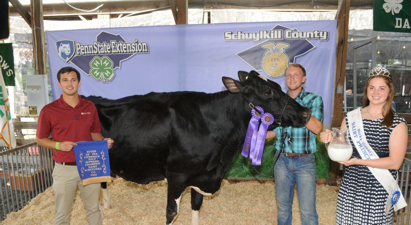 Schuylkill County Fair Livestock Sale Breaks Records | Farm Shows ...