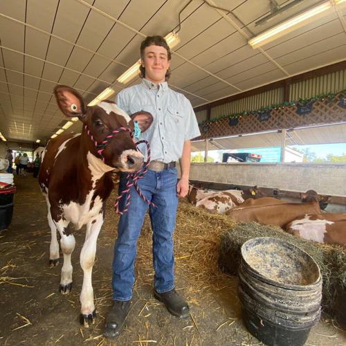 75 Years of Fun at the Oley Fair | Farm Shows, County Fairs, Events and ...