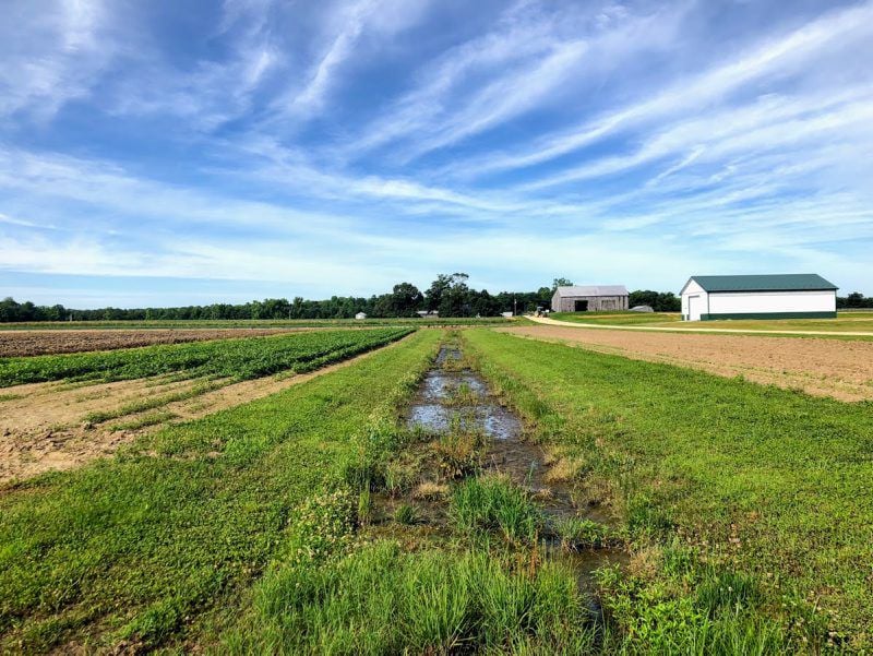 Spring Weather Whiplash Brings Its Challenges [Opinion] | Farm and ...