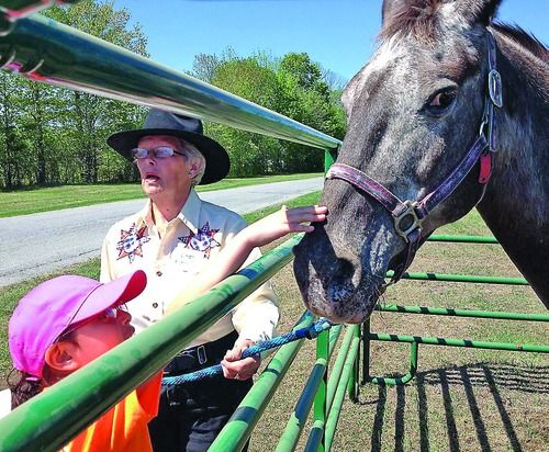 Farming Field Trip Provides Enjoyable Day Out of the Classroom ...