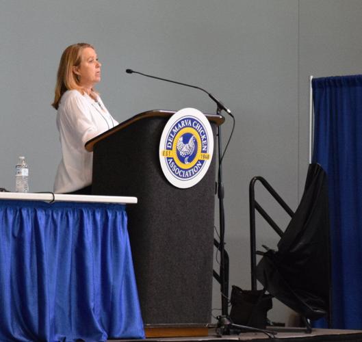 Avian Metapneumovirus Presents Multiple Challenges for Poultry Farmers ...