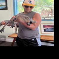 FFA Member Spotlight: Ethan VanCamp, Otto-Eldred FFA Chapter ...