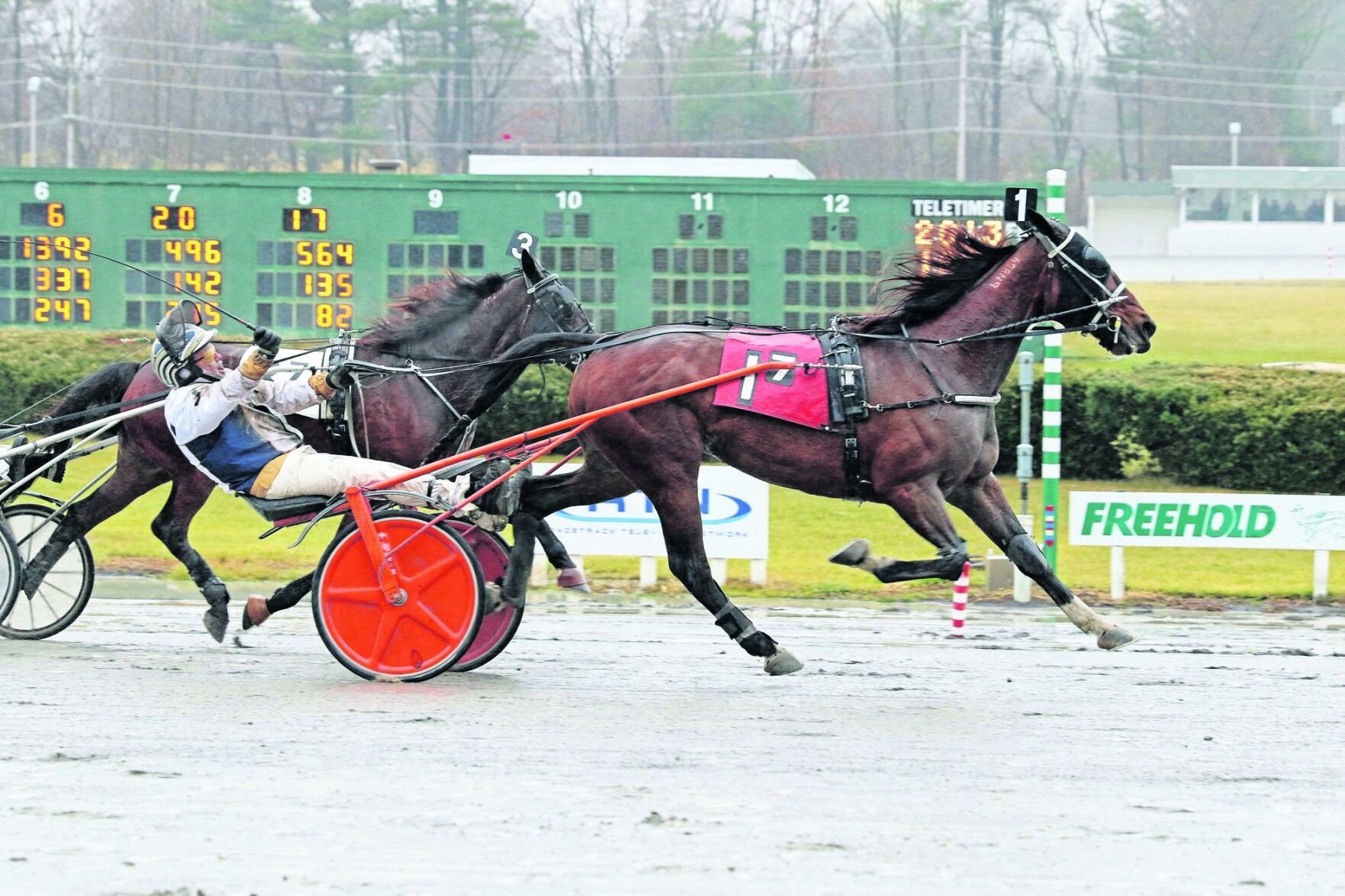 Harness Racing Community Copes After The End of Freehold Racing | Horse ...