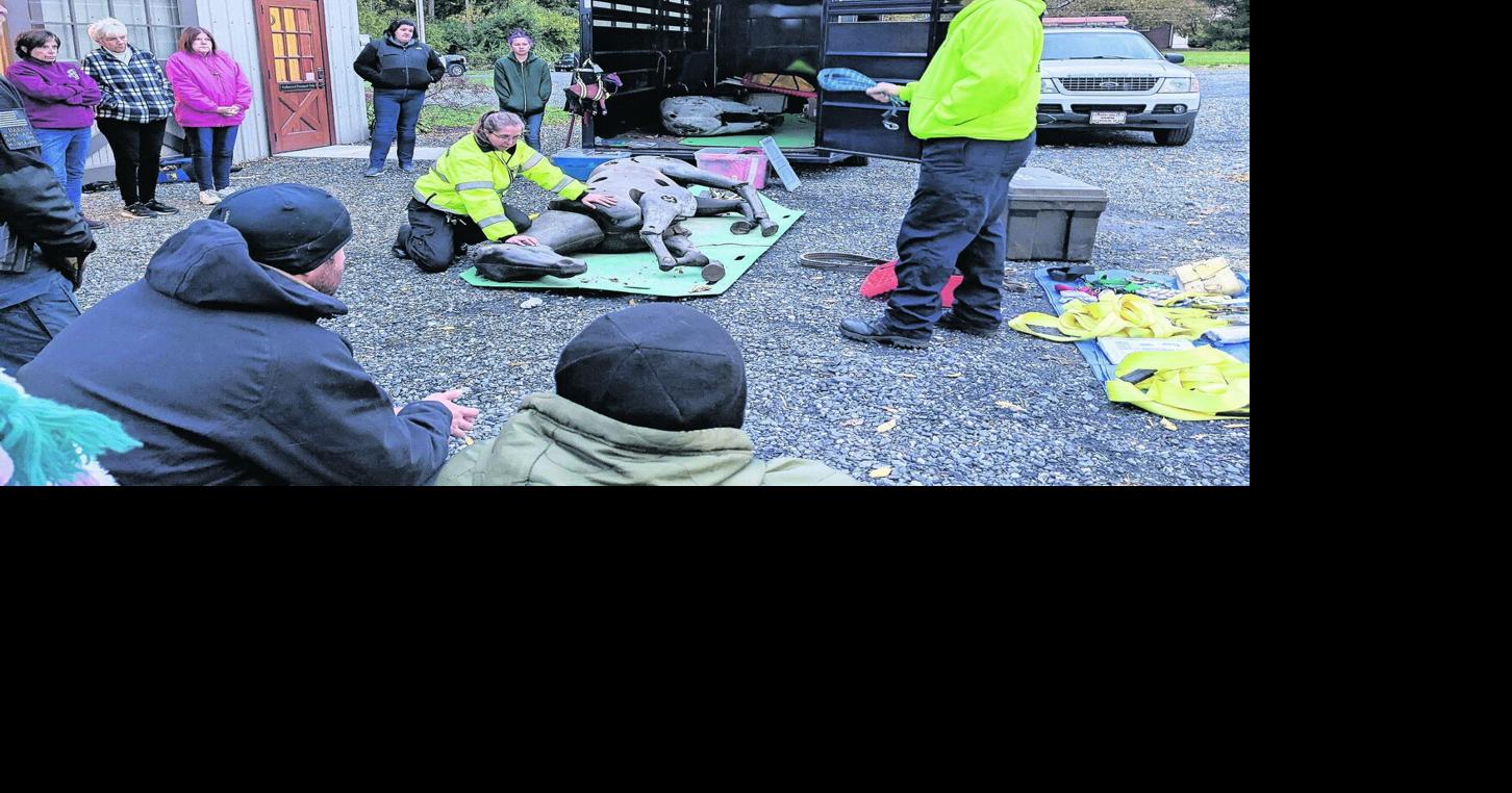 Rescuing Horses: The Unsung Heroes of Pennsylvania's Animal Response ...