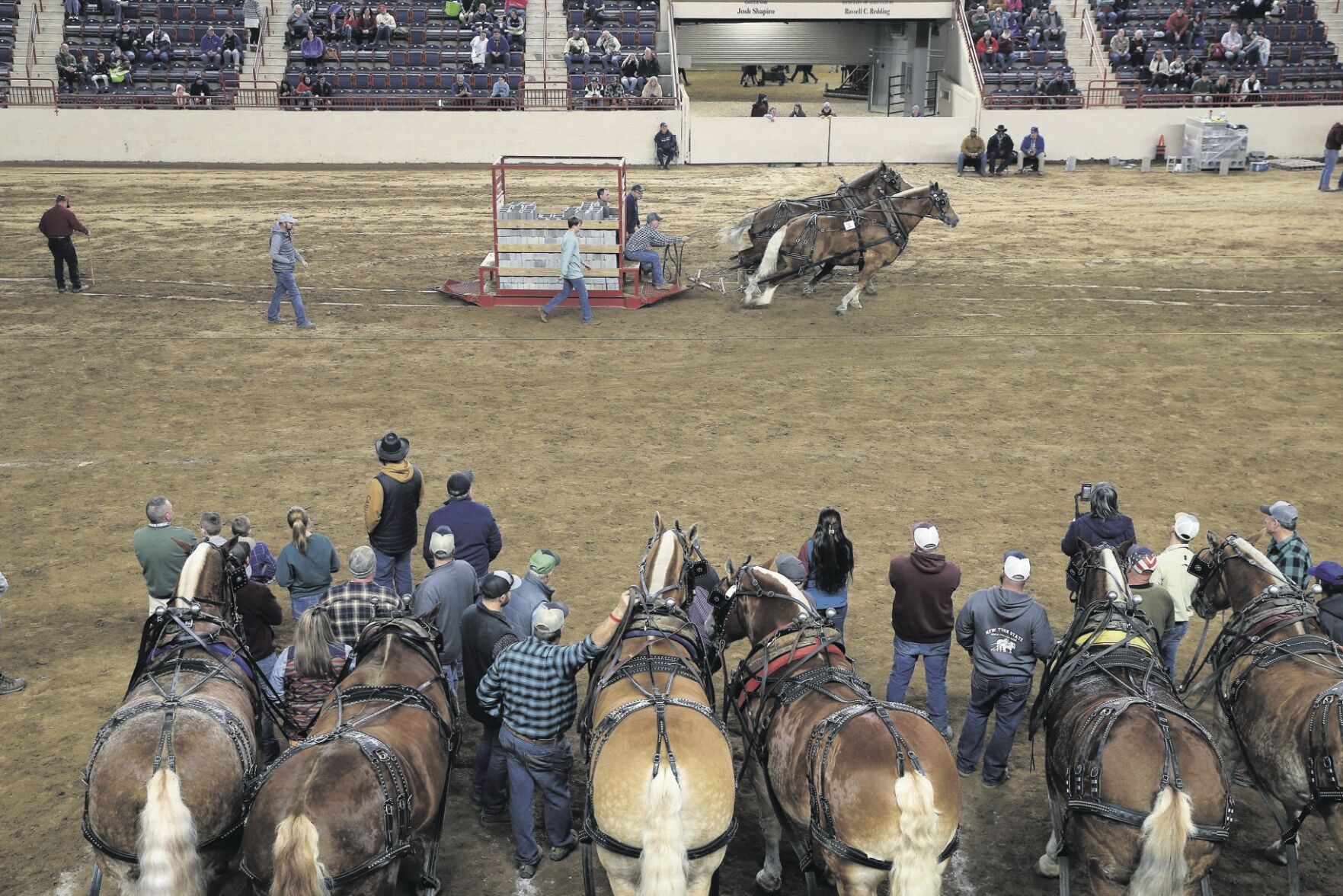 Heavyweight Horse Pulling Competitions are a Family Affair for Belgian ...
