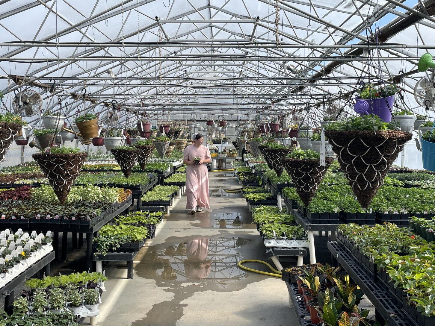 Meadow View Farm Grows Heirloom Vegetables and Memories | Gardening ...