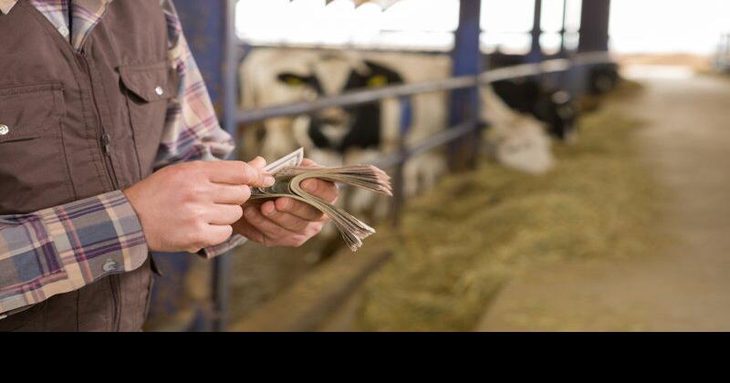 3 Easy Side Hustles You Can Do From the Farm | Farm and Rural Family ...