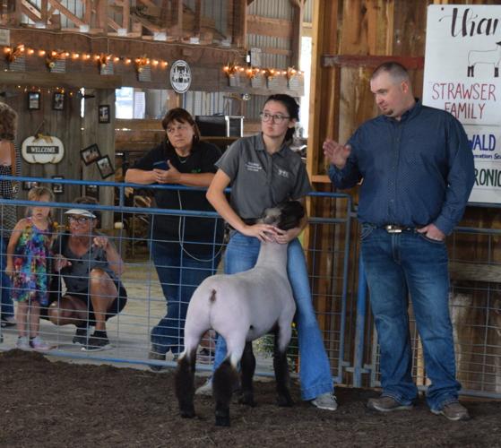 Youth Lamb Exhibitors Pass the Torch at Solanco Fair | Farm Shows ...