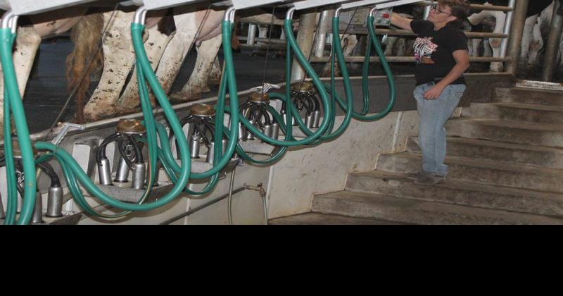 Test to ensure you are not overmilking | Dairy News | lancasterfarming.com