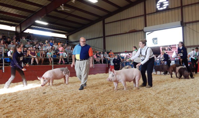 Berkeley Fair Is All About the Kids | | lancasterfarming.com