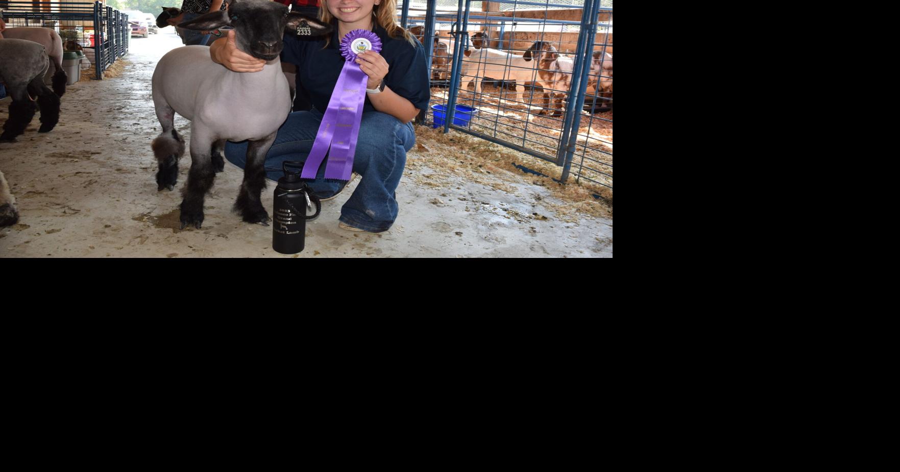 Youth Lamb Exhibitors Pass the Torch at Solanco Fair | Farm Shows ...
