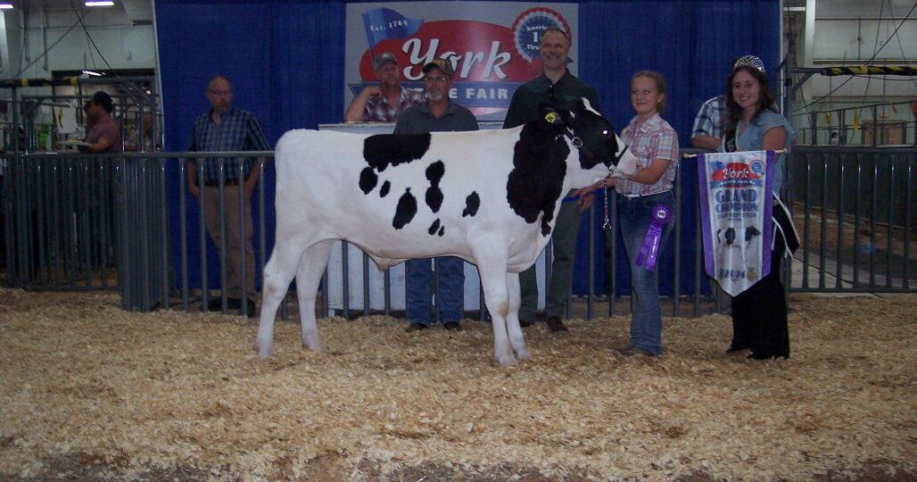 Cheers and Tears at 2024 York State Fair Junior Livestock Sale | Farm ...